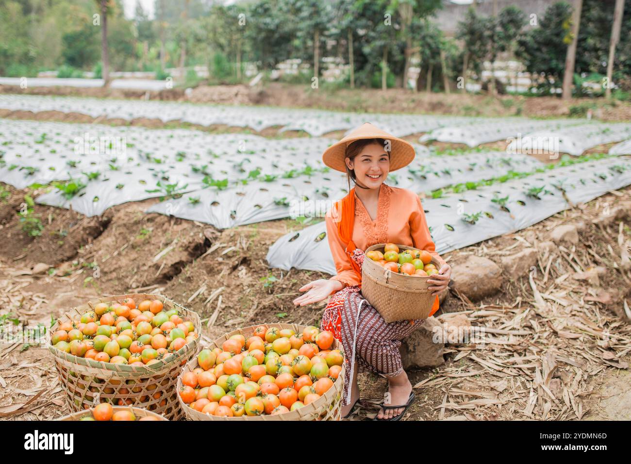 Harvesting Fresh Produce in a Beautifully Lush Farm Setting Filled with ...