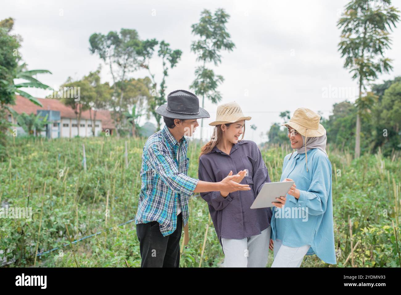 Collaborative farming hi-res stock photography and images - Alamy