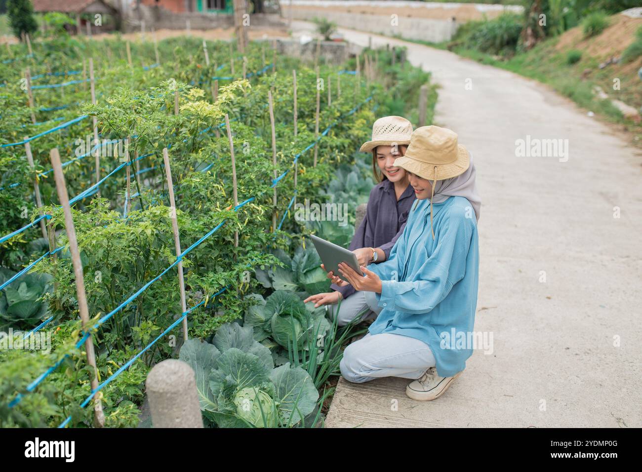 Two farmers are examining their thriving crops in a lush vegetable ...