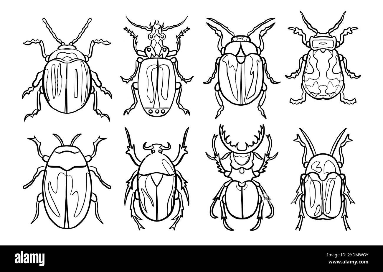 Hand drawn tropical bug set isolated on white background. Insect doodle ...