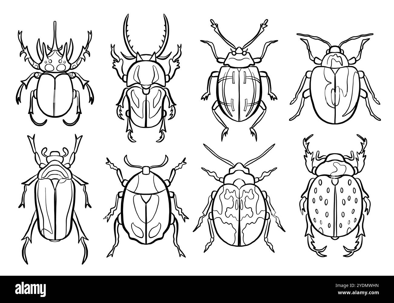 Black doodle tropical bug collection Isolated on white background. Hand ...