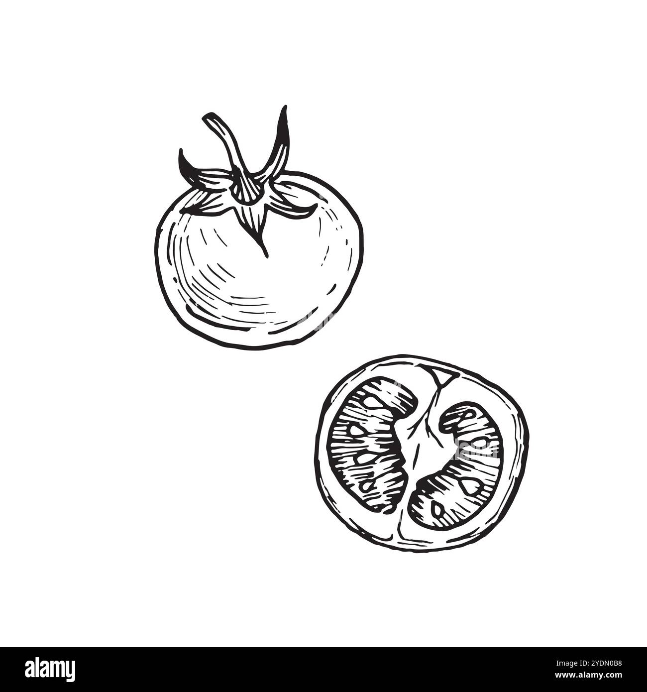 Cherry tomatoes hand drawn vector illustrations. whole and half a ...