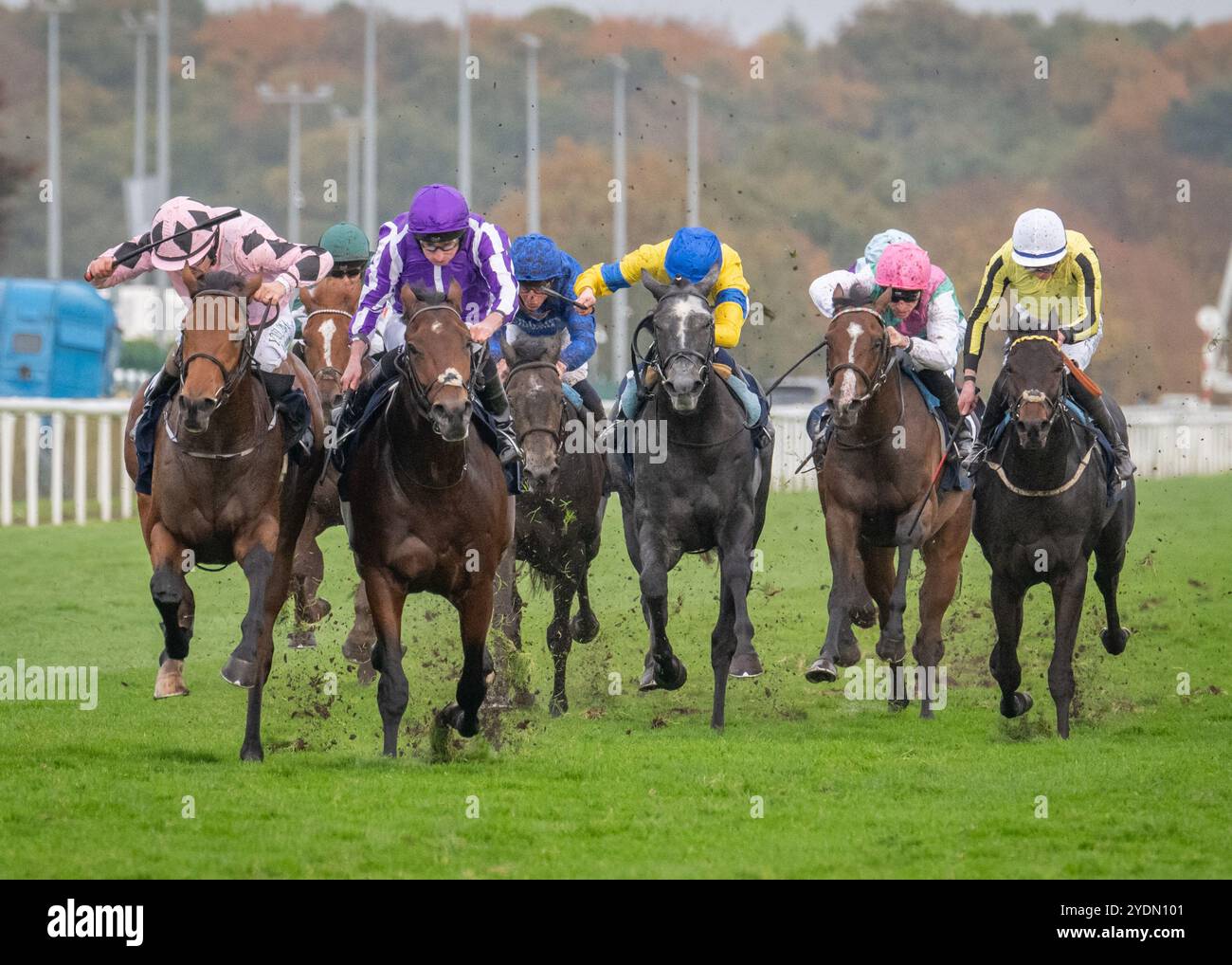 Hotazhell wins the 2024 William Hill Futurity Trophy at Doncaster for ...
