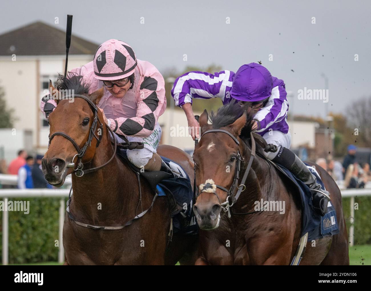 Hotazhell wins the 2024 William Hill Futurity Trophy at Doncaster for ...
