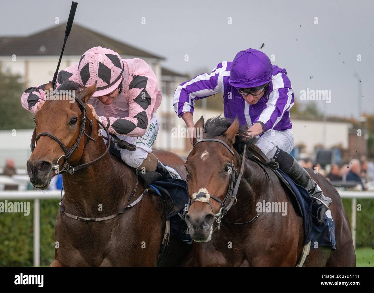 Hotazhell wins the 2024 William Hill Futurity Trophy at Doncaster for ...