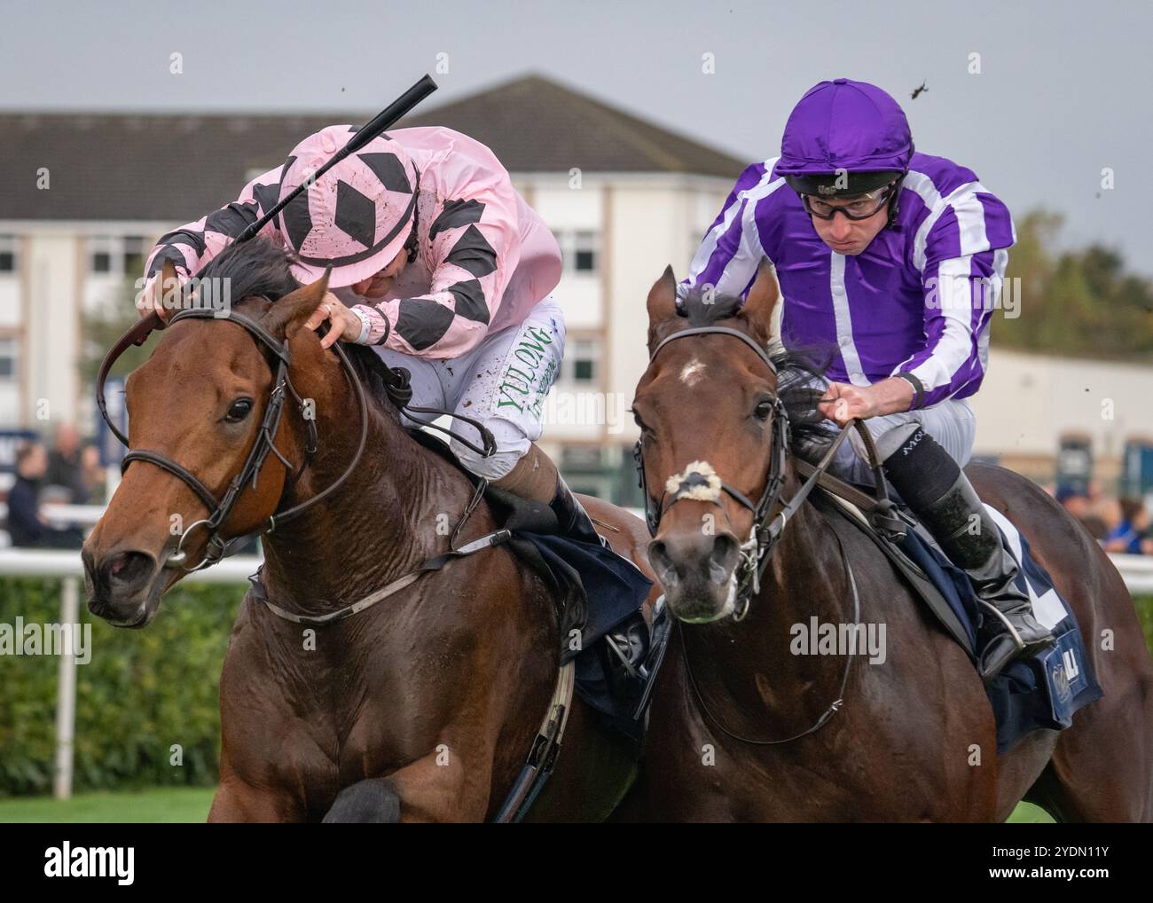 Hotazhell wins the 2024 William Hill Futurity Trophy at Doncaster for ...