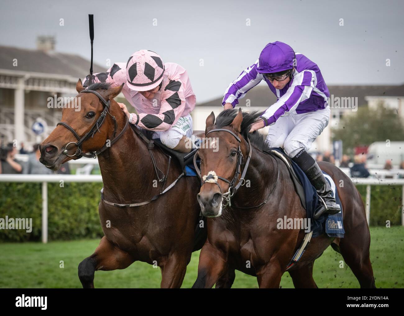 Hotazhell wins the 2024 William Hill Futurity Trophy at Doncaster for ...