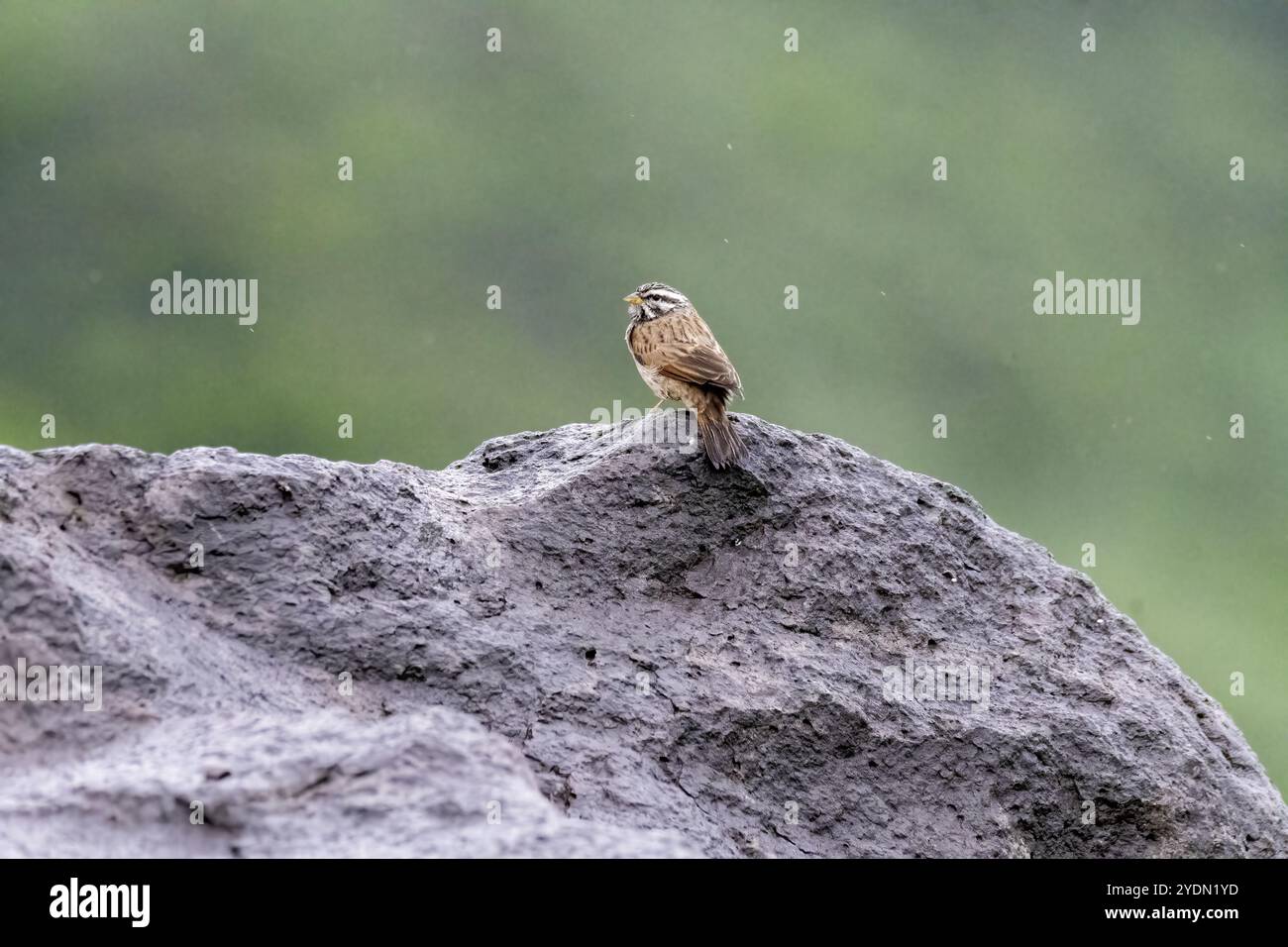Loud hill hi-res stock photography and images - Alamy