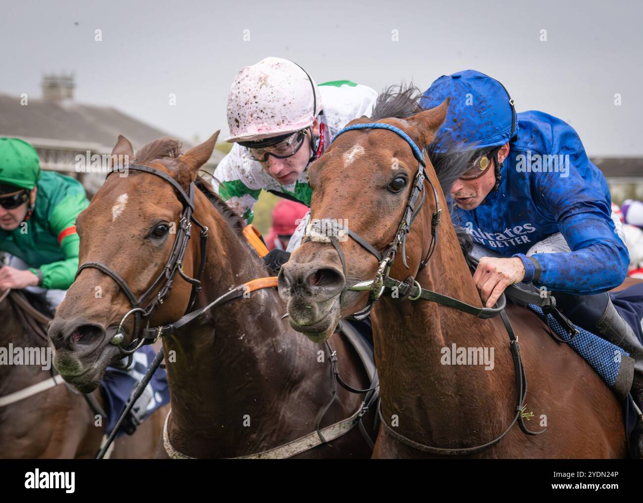 Champion jockey 2024 hi-res stock photography and images - Alamy