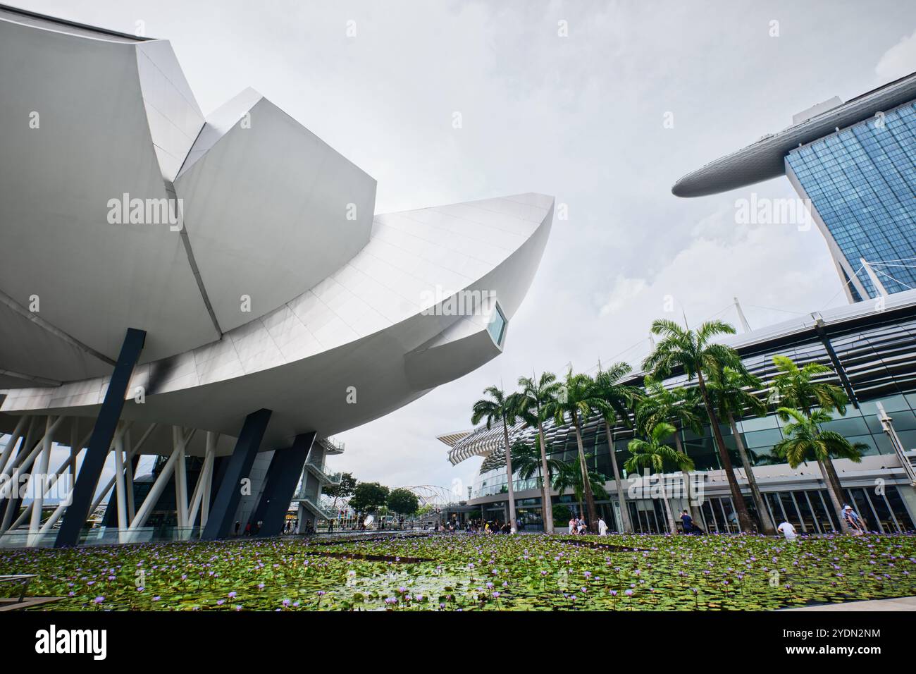 Singapore - August 14, 2024: Futuristic architecture Lotus shaped ...