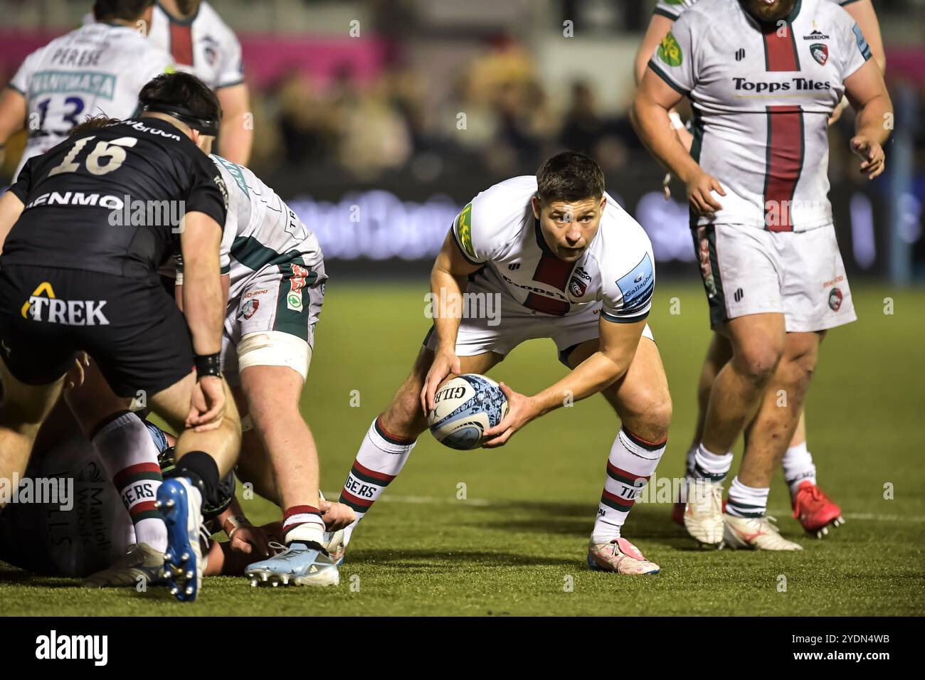 Nick youngs tigers hi-res stock photography and images - Alamy