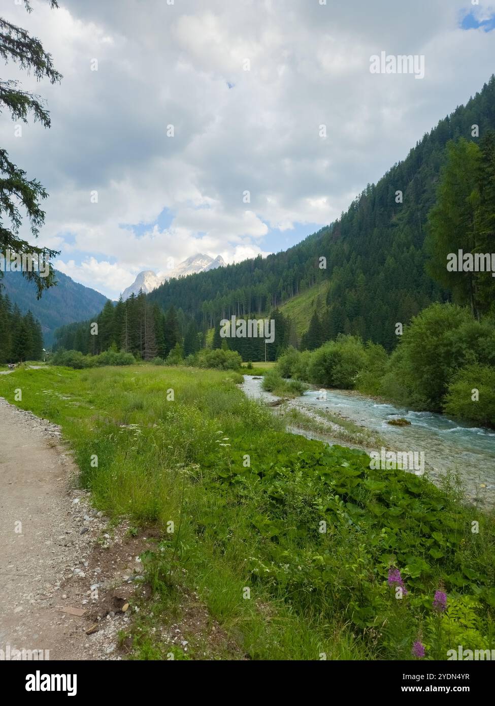 A photo of the Avisio stream near Canazei - Italy Stock Photo - Alamy