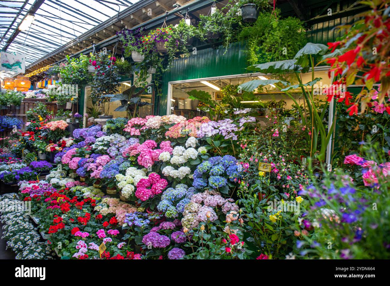 Paris flower market hi-res stock photography and images - Alamy