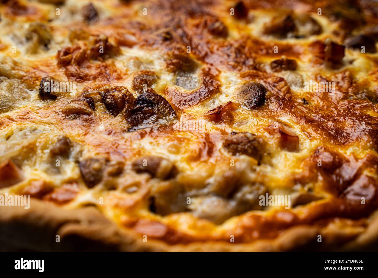Background texture of French mushroom and chicken pie Quiche loren ...