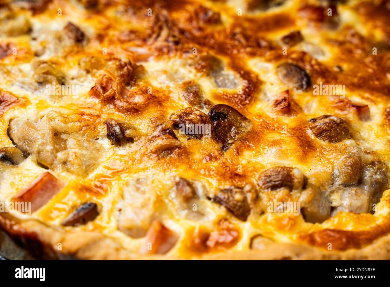 Background texture of French mushroom and chicken pie Quiche loren ...