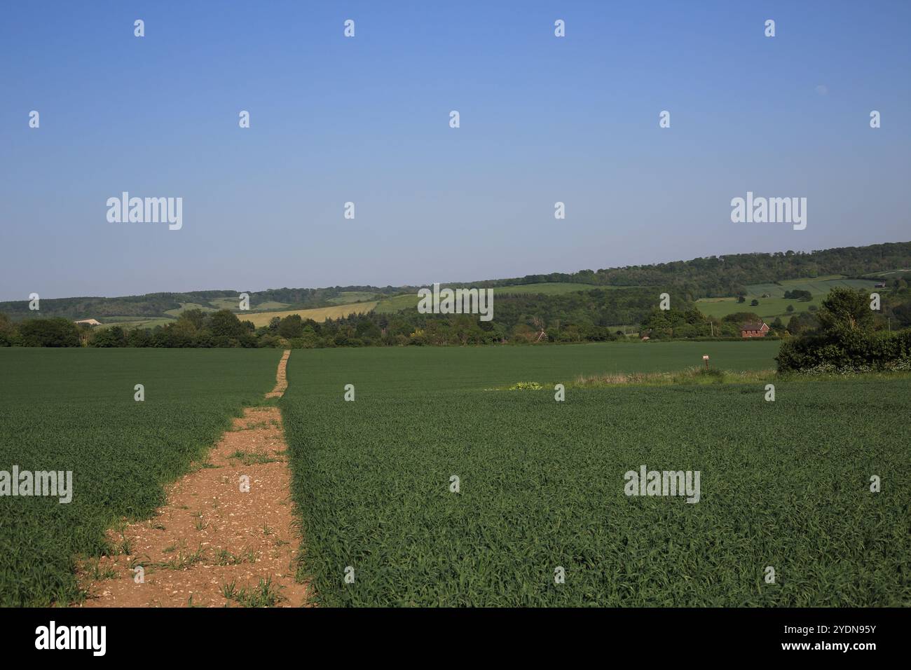 Kent downs national landscape geopark hi-res stock photography and ...