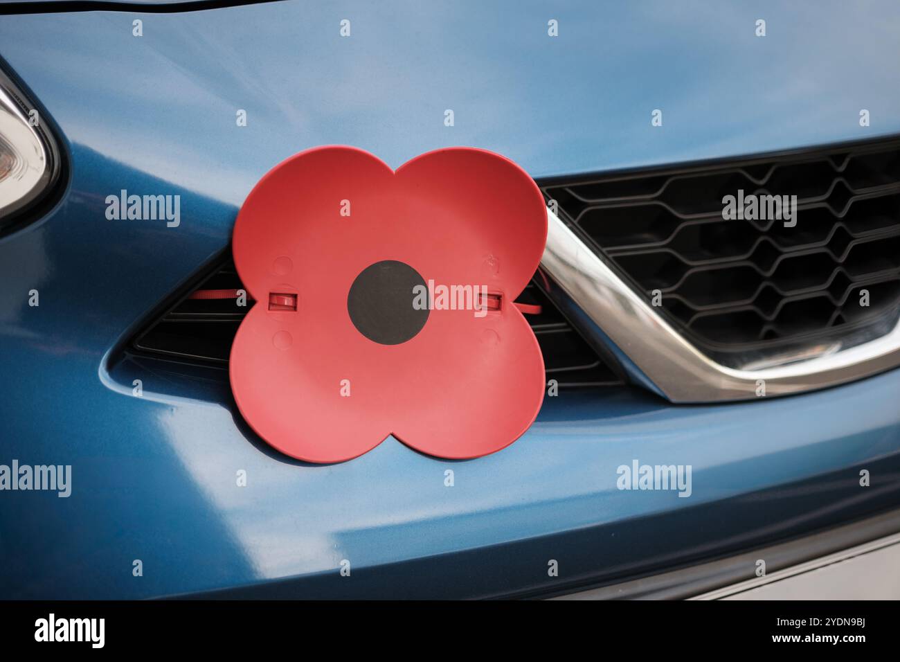 Remembrance day poppy display hi-res stock photography and images - Alamy