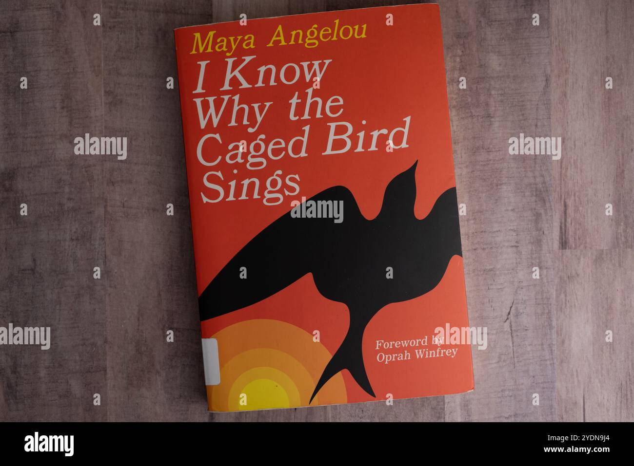 Maya angelou hi-res stock photography and images - Alamy