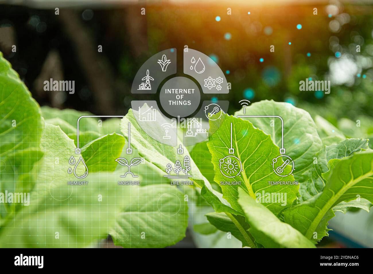 Ai for precision agriculture hi-res stock photography and images - Alamy