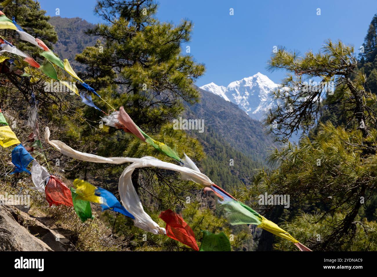Colorful prayer flags with mantra written on it in the Himalayas ...