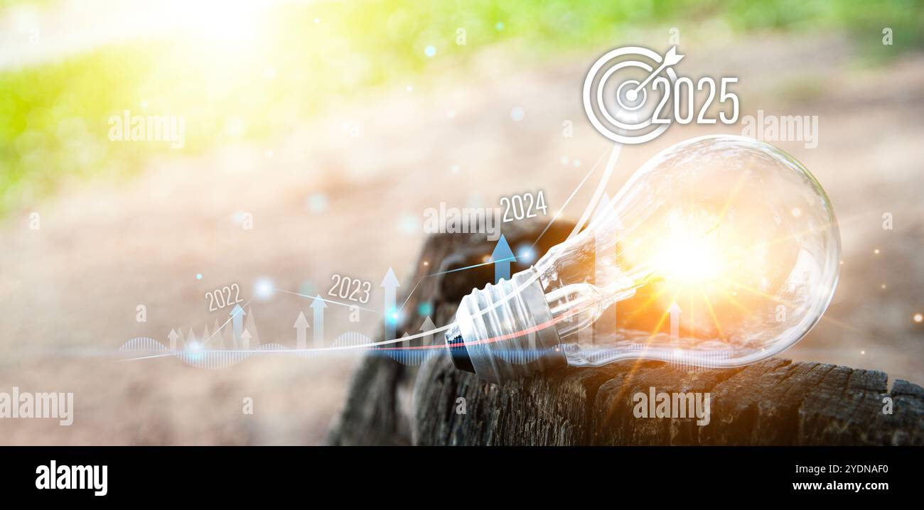 Concept, Setting Key Goals in 2025, Achievements in 2025, Profitable ...