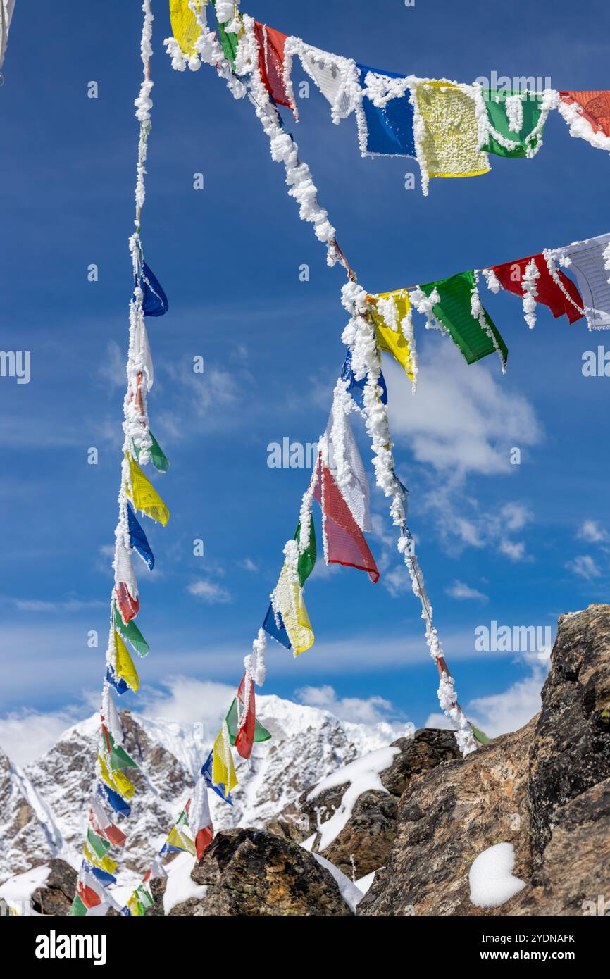 Colorful prayer flags with mantra written on it in the Himalayas ...