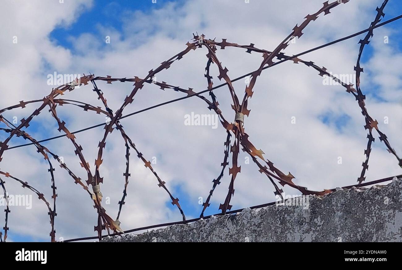 Old barbed wire stretched in rings on a concrete fence Stock Photo - Alamy