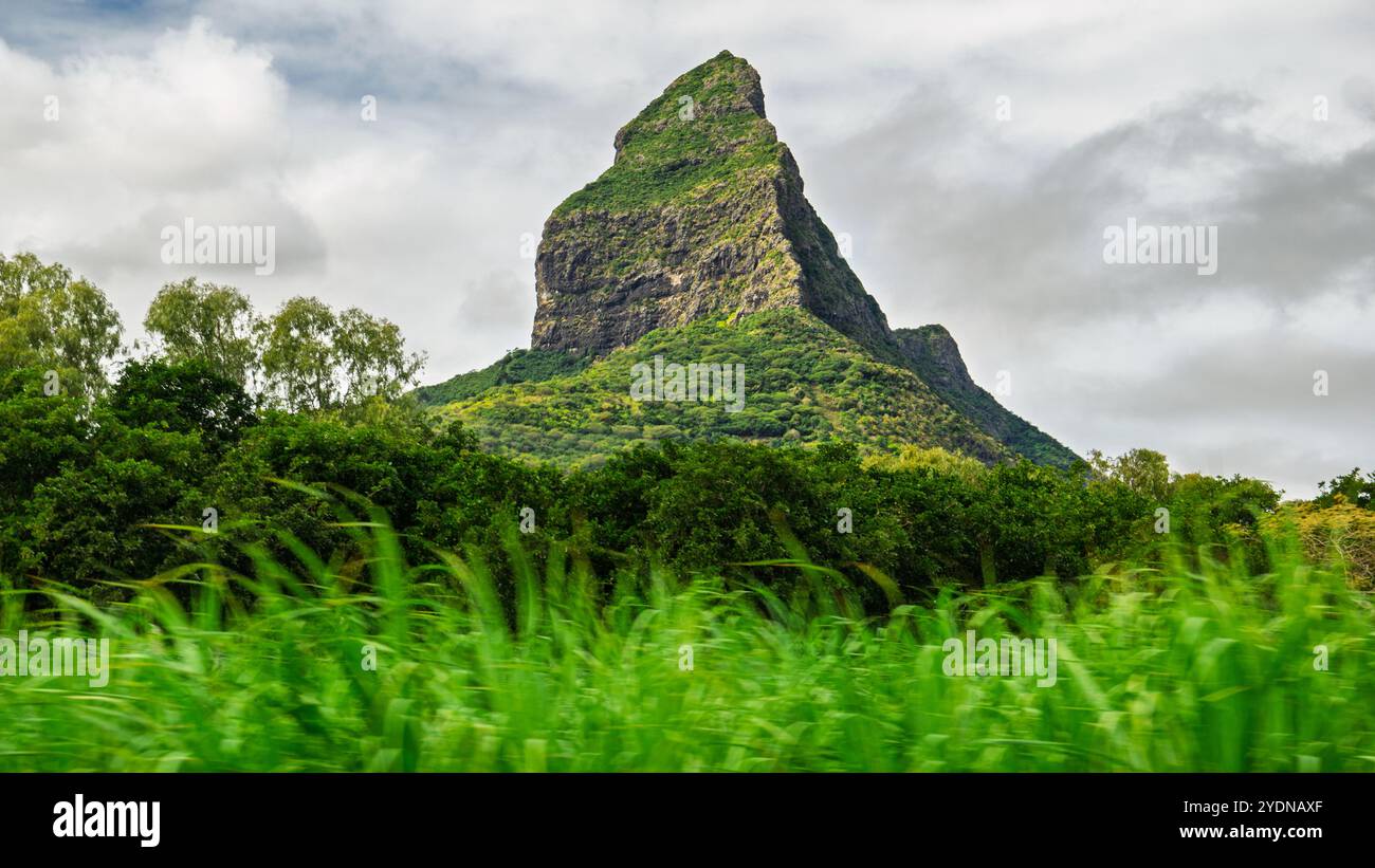 Highest mountain in mauritius hi-res stock photography and images - Alamy