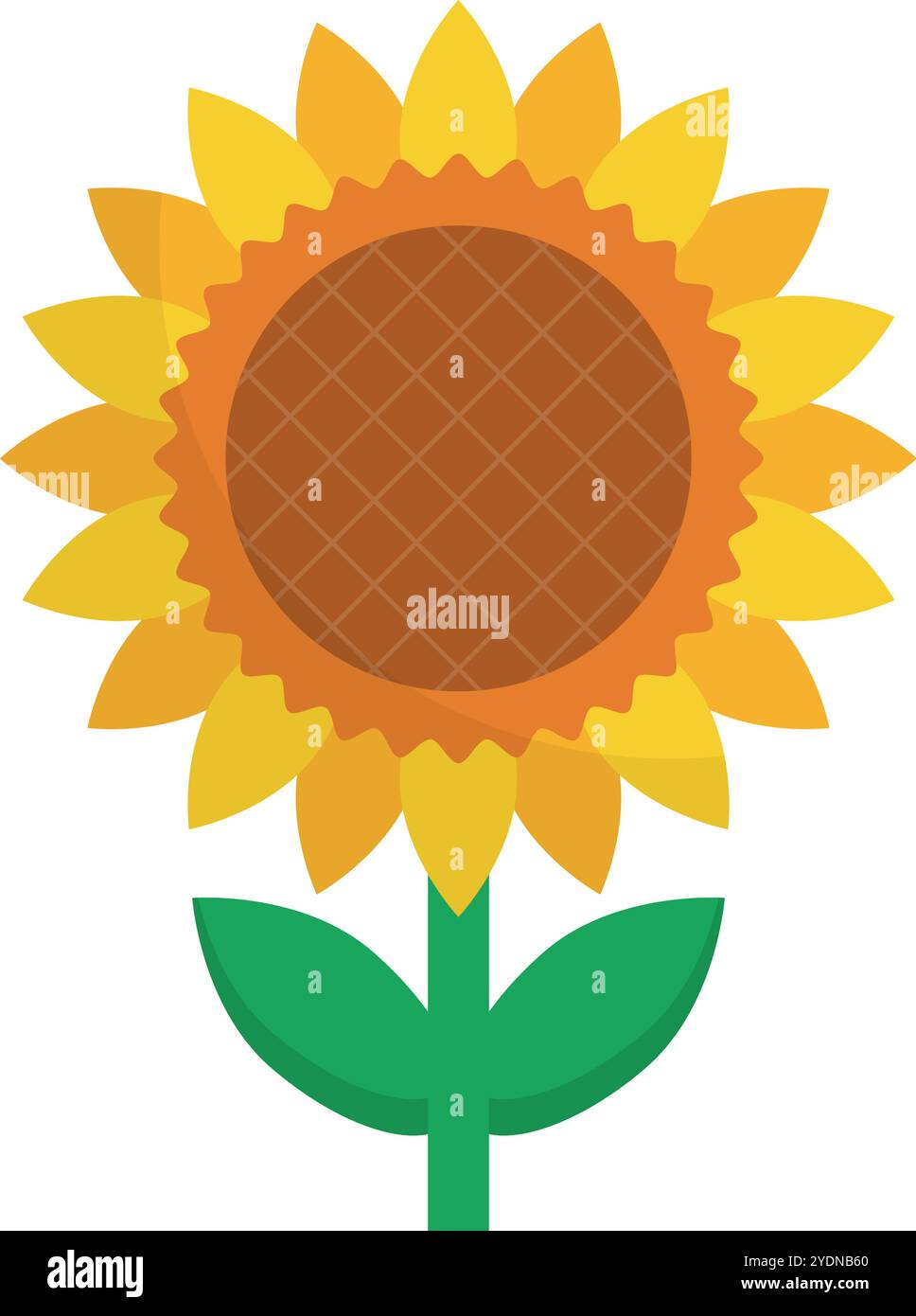 Helianthus vector vectors hi-res stock photography and images - Alamy