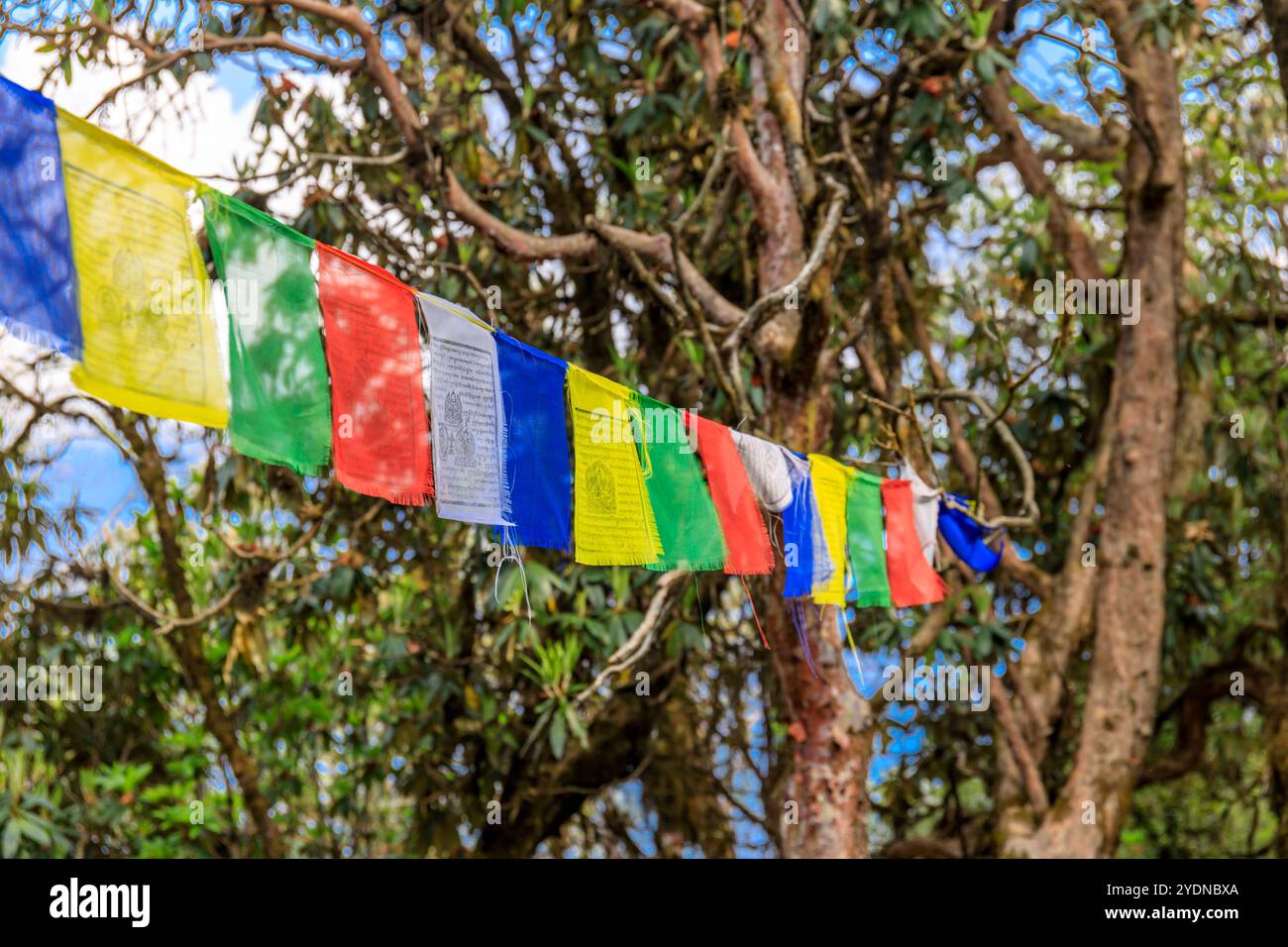 Colorful prayer flags with mantra written on it in the Himalayas ...