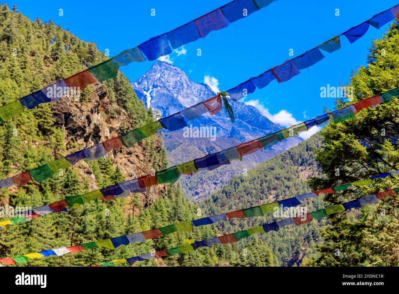 Colorful prayer flags with mantra written on it in the Himalayas ...
