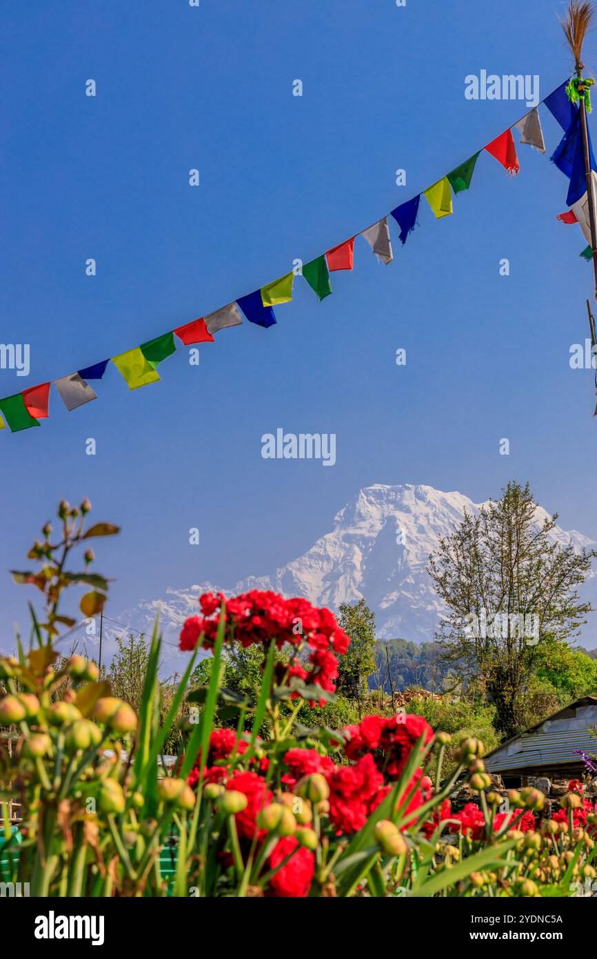 Colorful prayer flags with mantra written on it in the Himalayas ...
