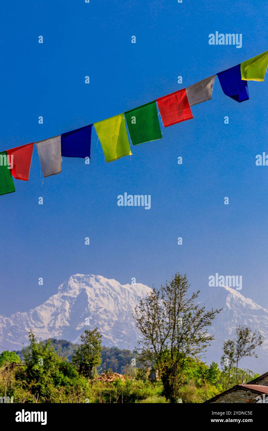 Colorful prayer flags with mantra written on it in the Himalayas ...