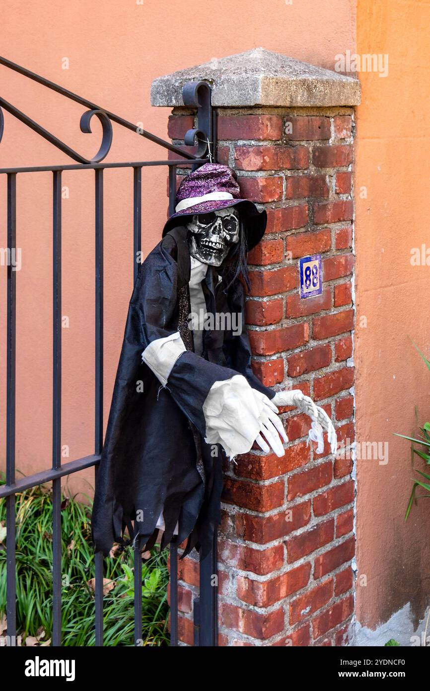 Halloween skeleton decoration in elaborate hat and cloak hanging on ...