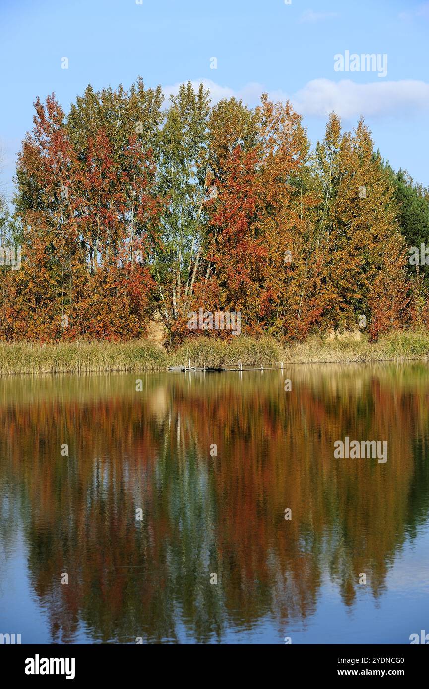 autumn, beauty, scenery, climate autumn, natural, scenic, travel ...