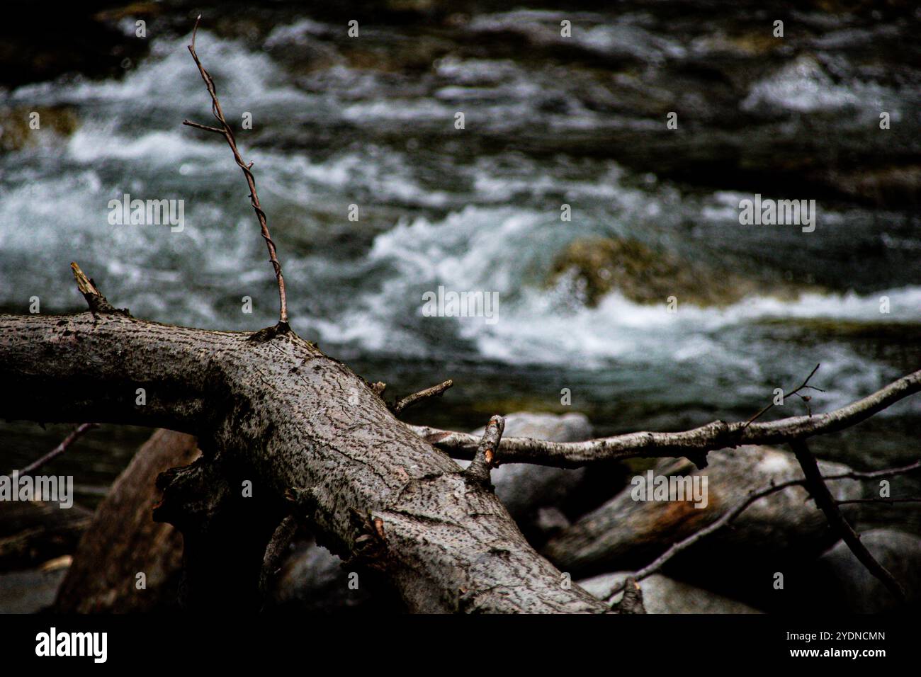Riverside branch hi-res stock photography and images - Alamy