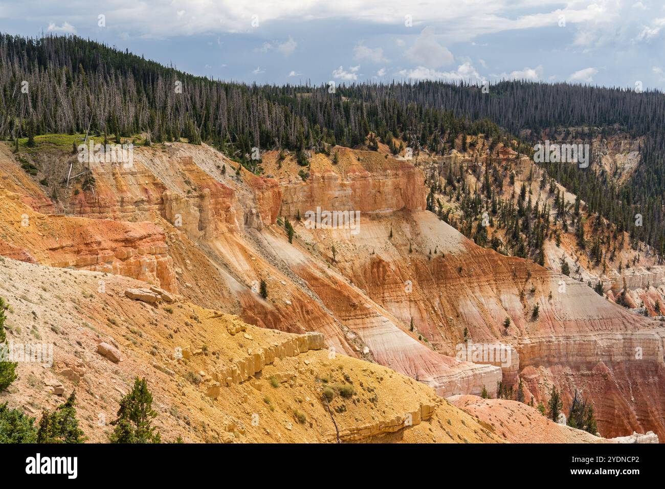 Panoramic view of Cedar Breaks National Monument from North View ...