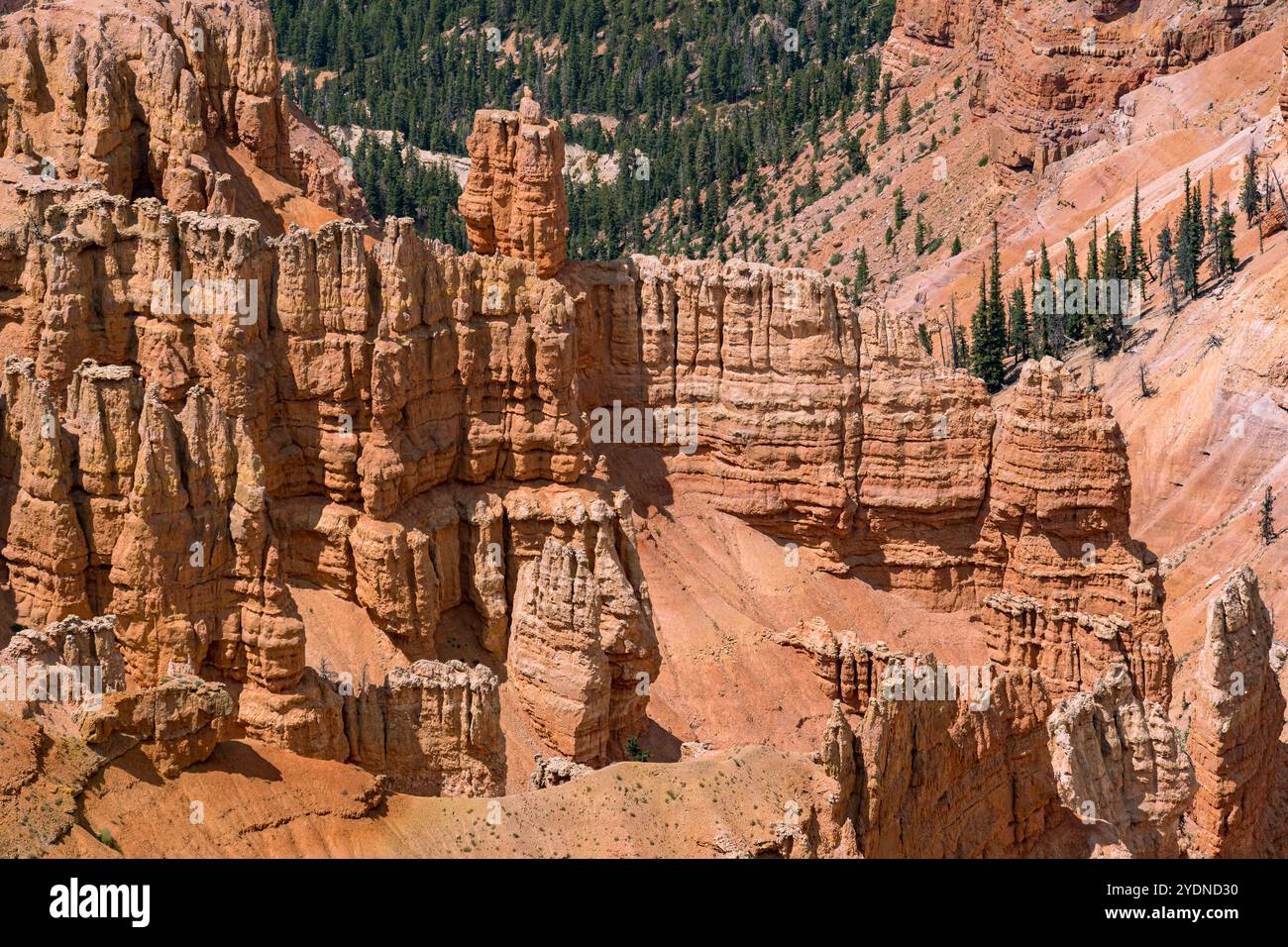Hoodoos in the amphitheater of Cedar Breaks National Monument from the ...