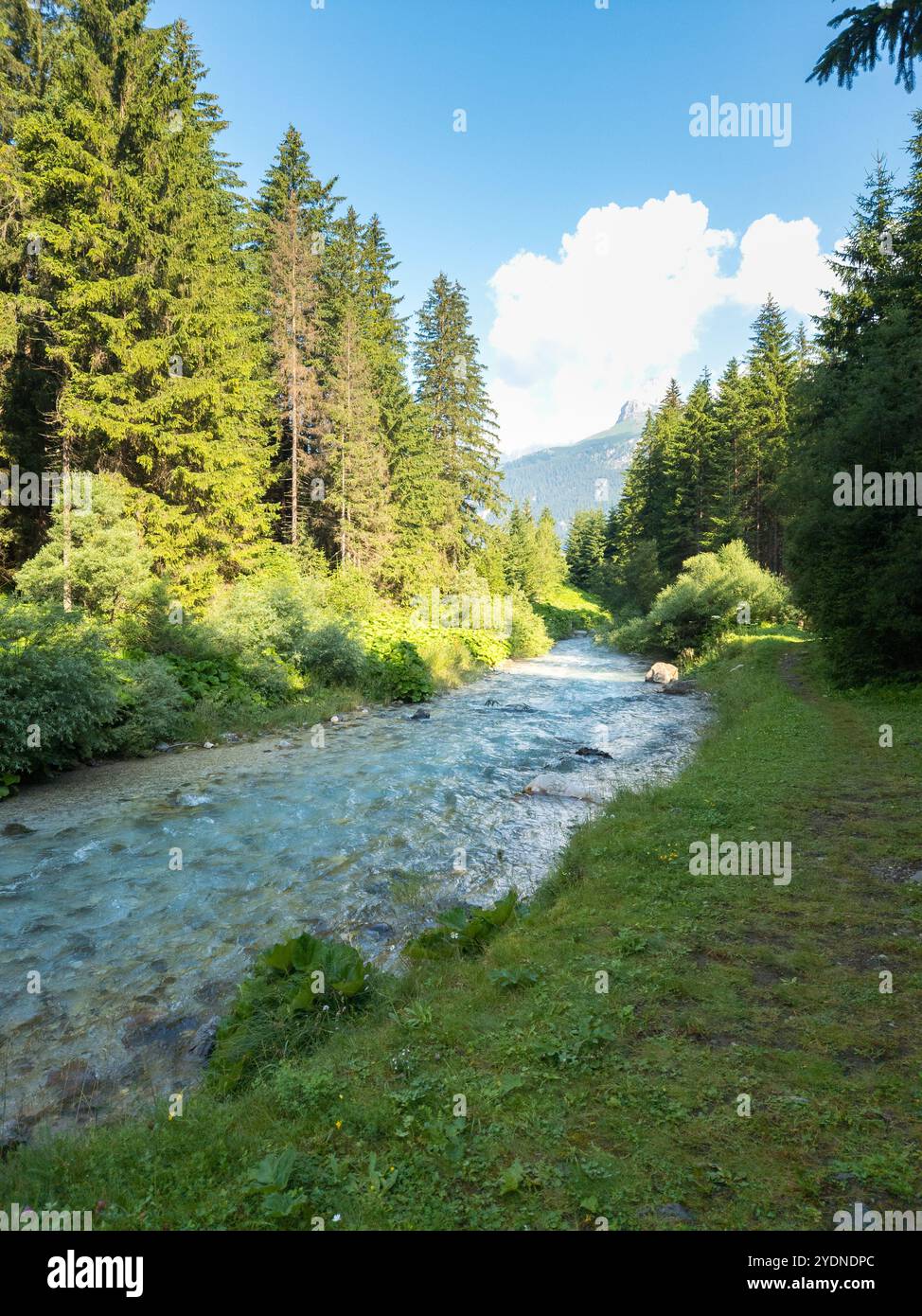 A photo of the Avisio stream near Canazei - Italy Stock Photo - Alamy