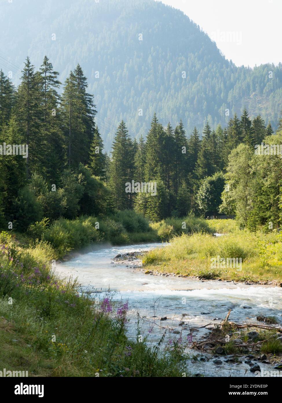 A photo of the Avisio stream near Canazei - Italy Stock Photo - Alamy