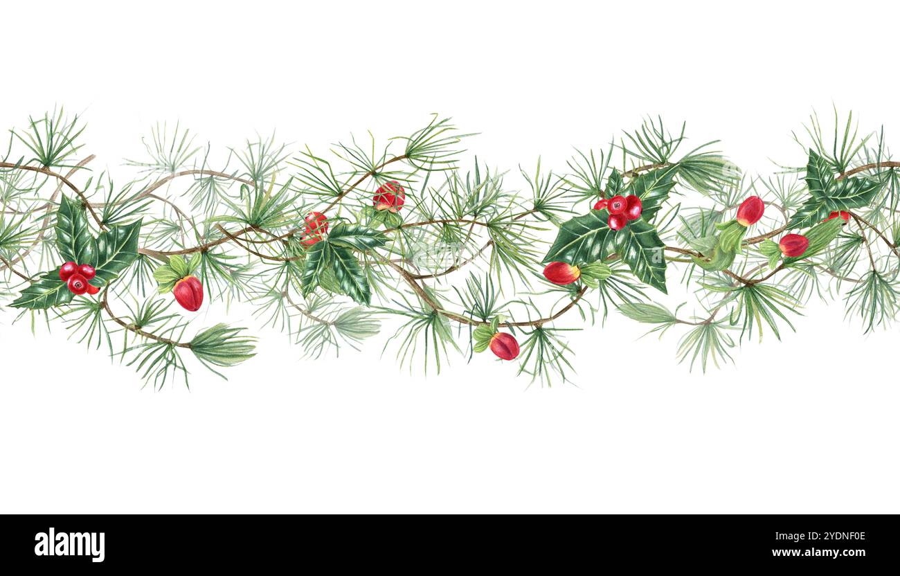 Green pine branches with red berries watercolor horizontal seamless ...