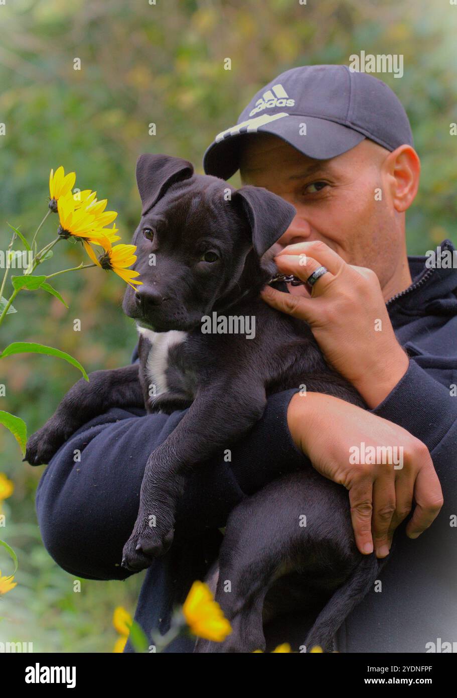 Adult guy playing with his black puppy Stock Photo - Alamy