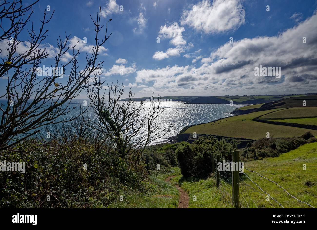 The SW Coast Path winds down a steep slope above steep cliffs near ...