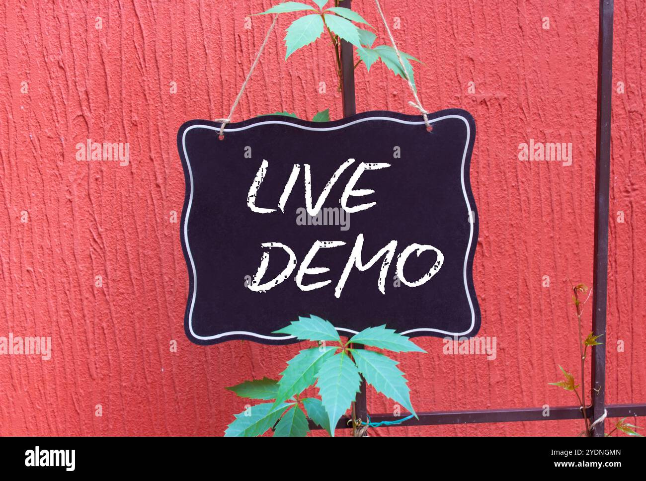 Live Demo symbol. Concept words Live Demo on black chalk background ...