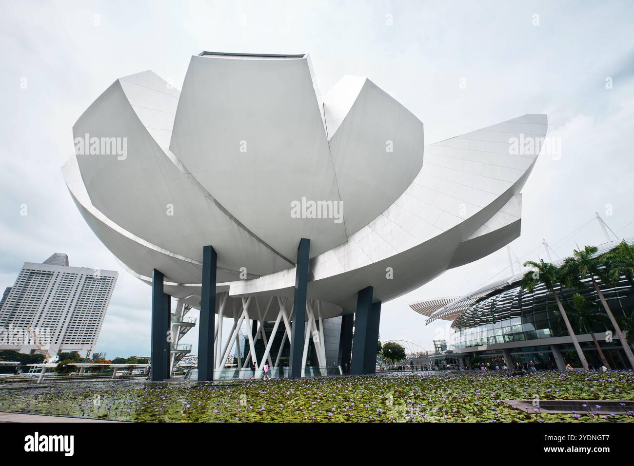 Singapore - August 14, 2024: Futuristic architecture Lotus shaped ...