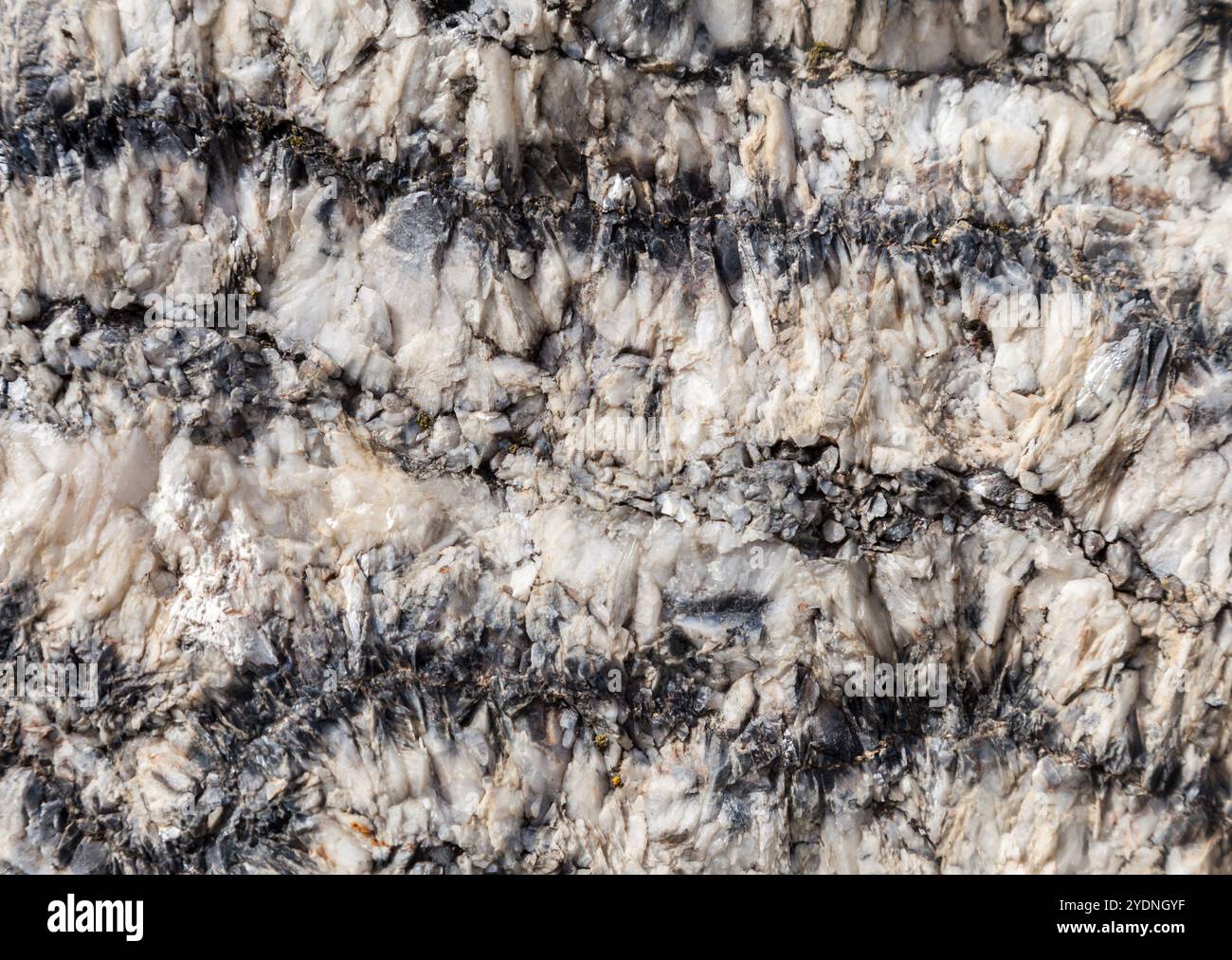 Unique mineral patterns reveal striking textures in rocks illuminated ...