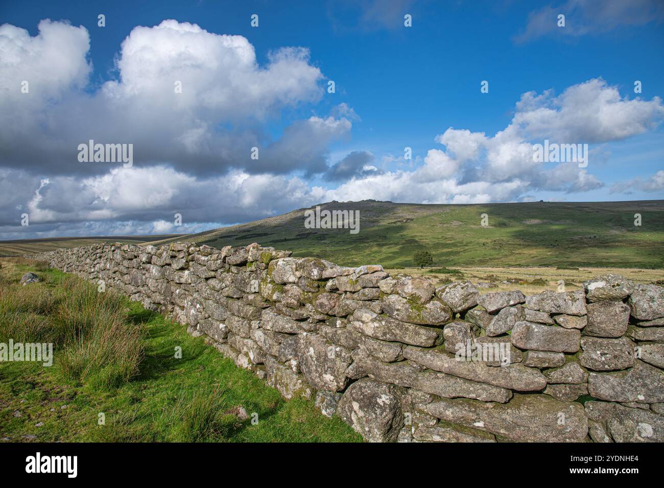 Great Staple Tor Dartmoor Nationalpark Devon Stock Photo - Alamy