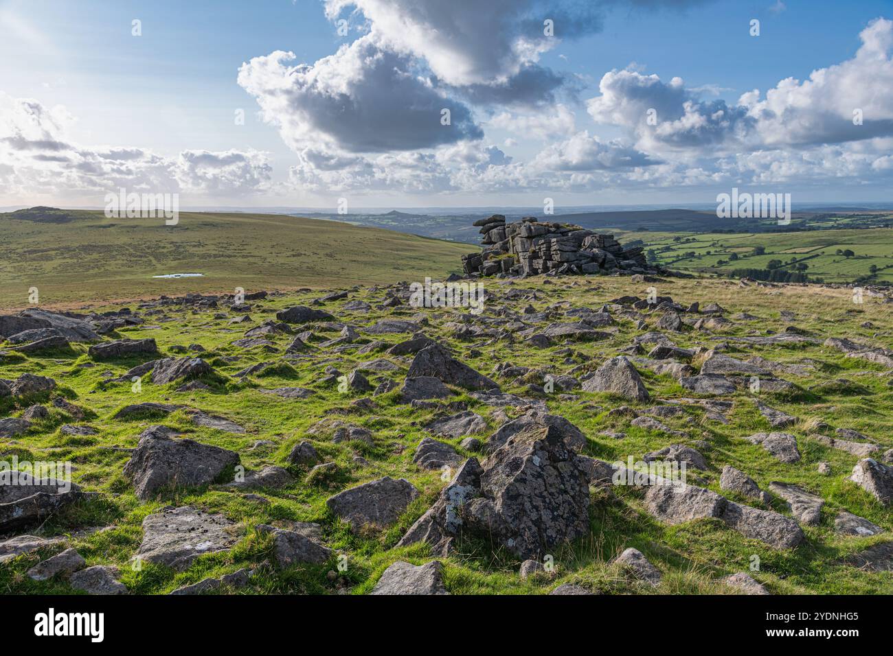 Great Staple Tor Dartmoor Nationalpark Devon Stock Photo - Alamy