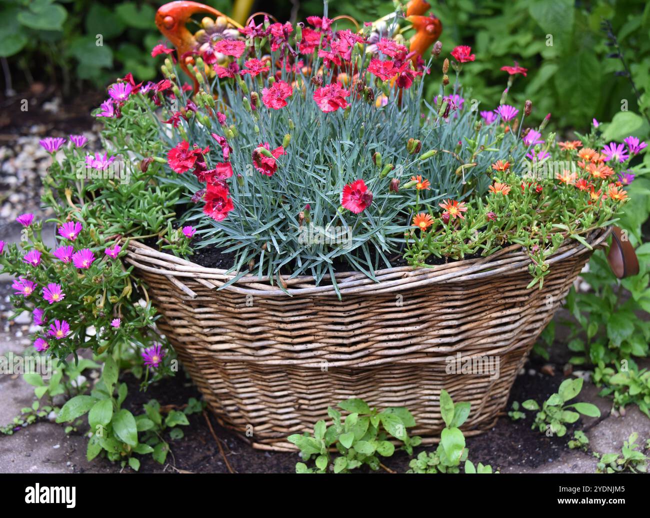Basket of blooming flowers sits on the Lake Lure Flowering Bridge in ...