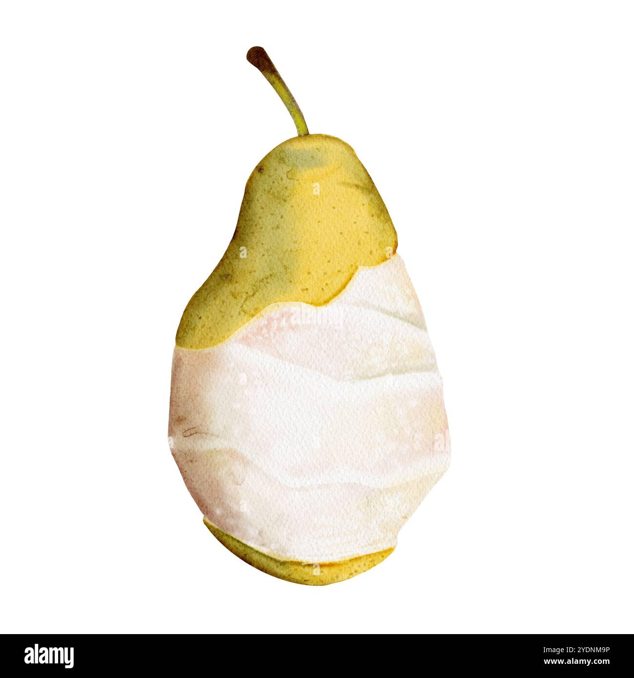 Peeled pear. Fruit with a small branch. Pear green and yellow. Side ...